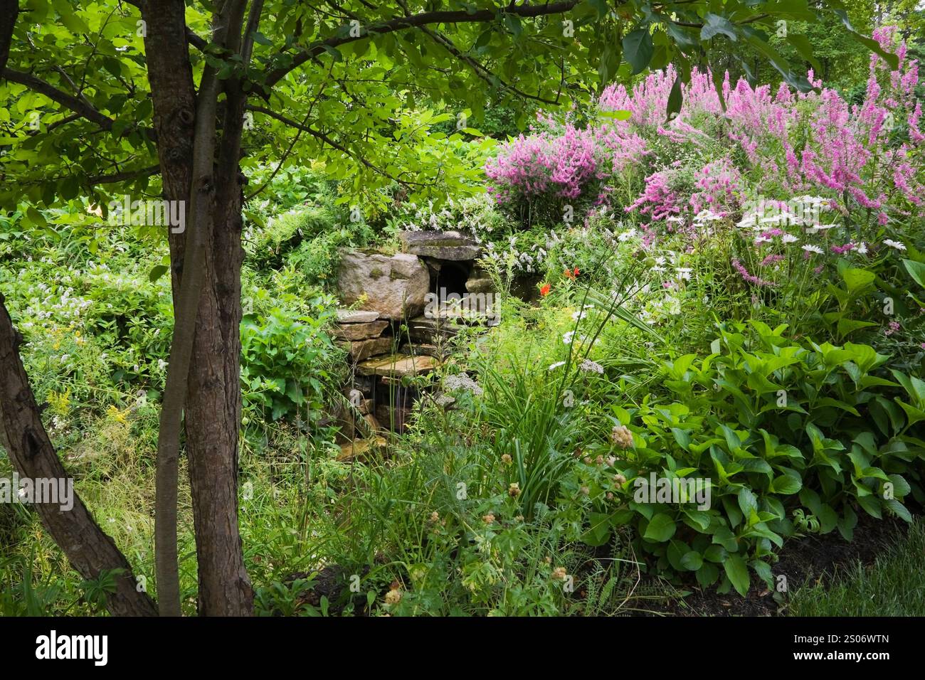 Natural stone man made waterfall through deciduous tree and bordered by ...