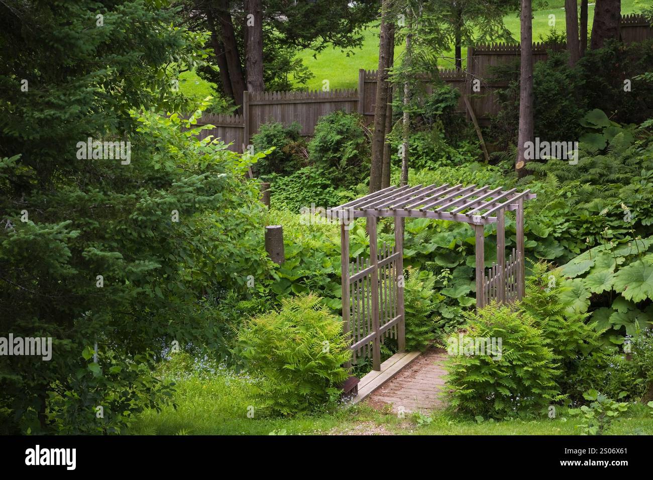 Wooden pergola with Sorbaria - False spirea and Petasites japonicus ...