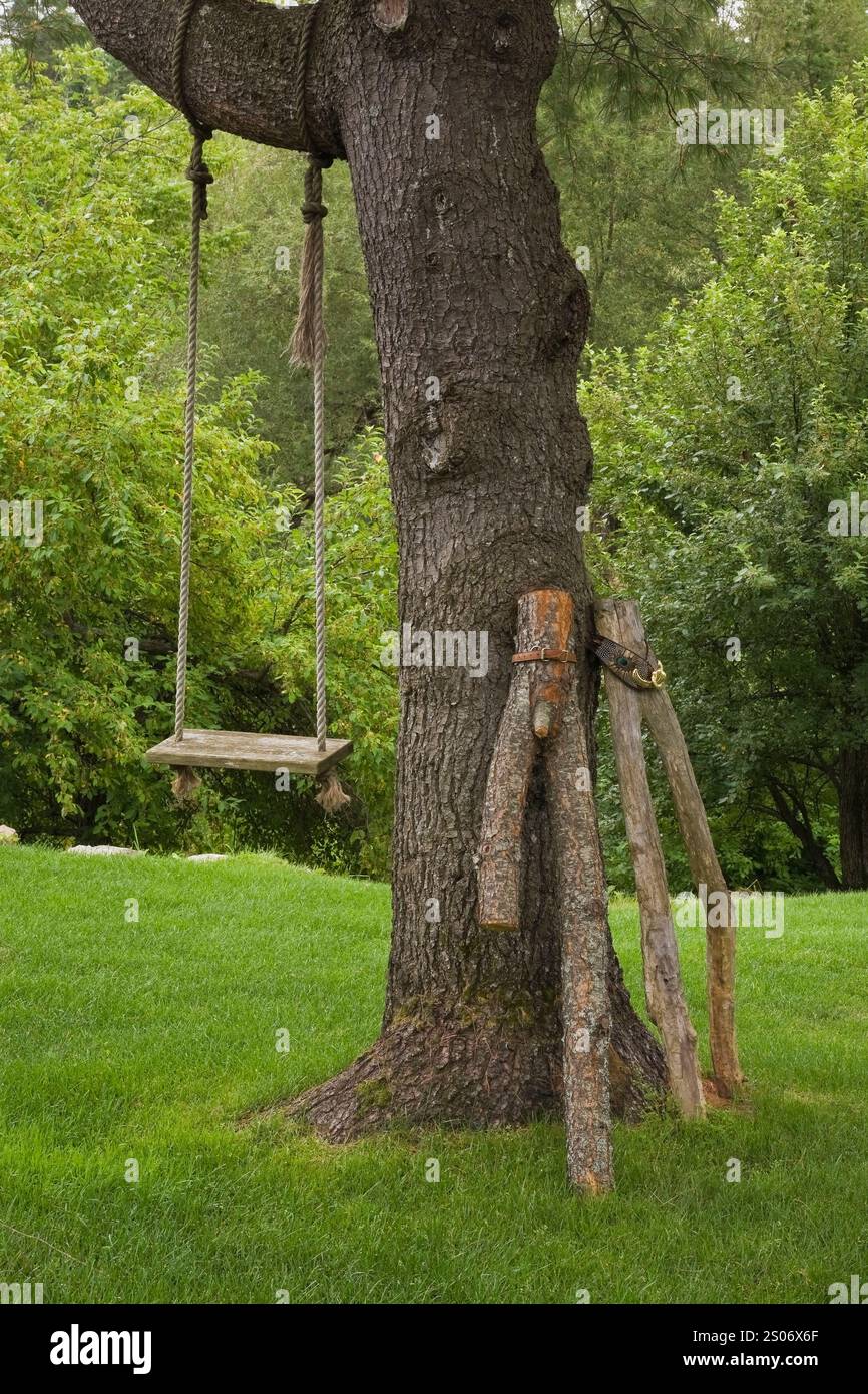Swing hanging from large Pinus - Pine tree decorated with human like ...