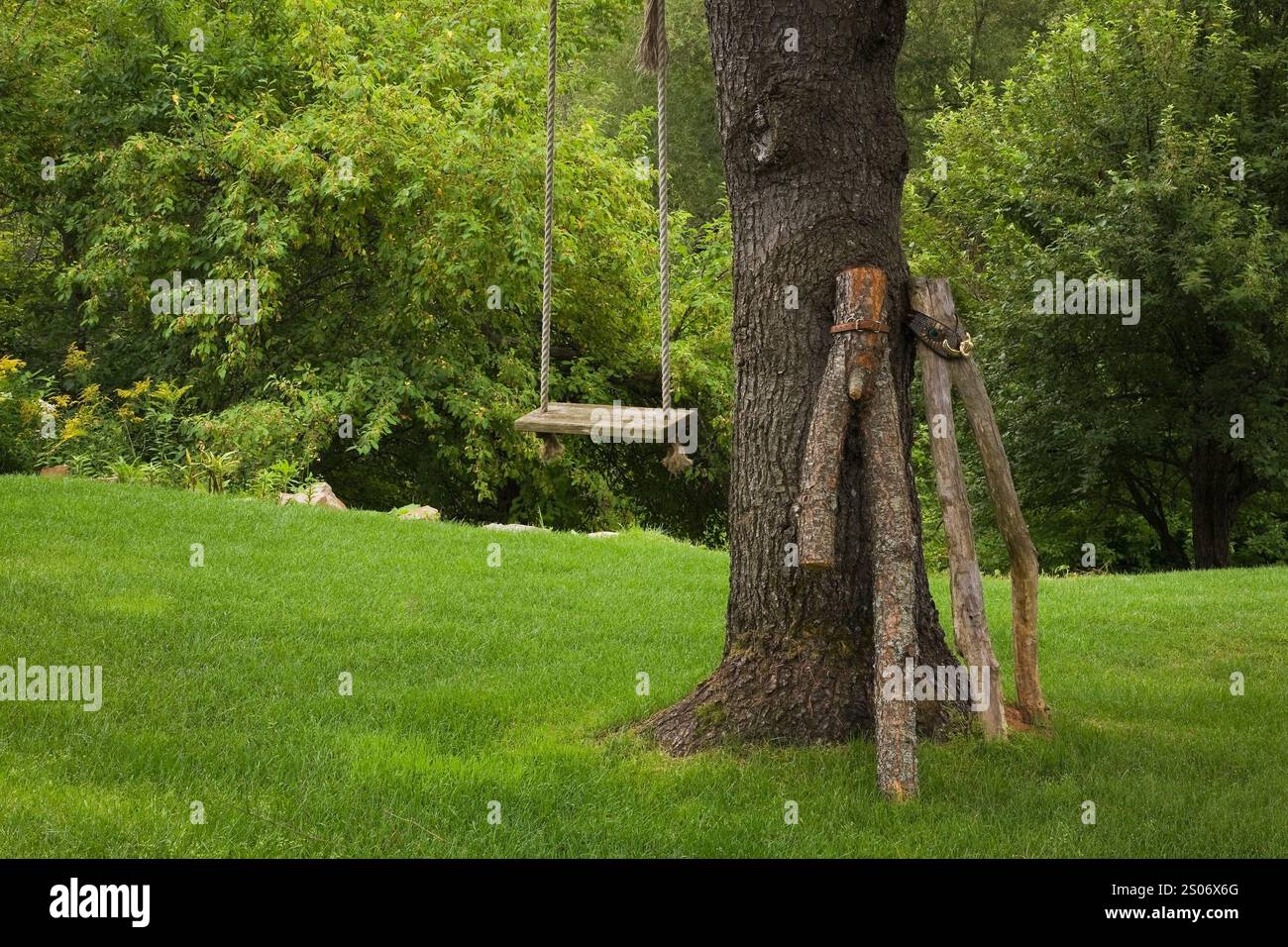Swing form tree to tree hi-res stock photography and images - Alamy
