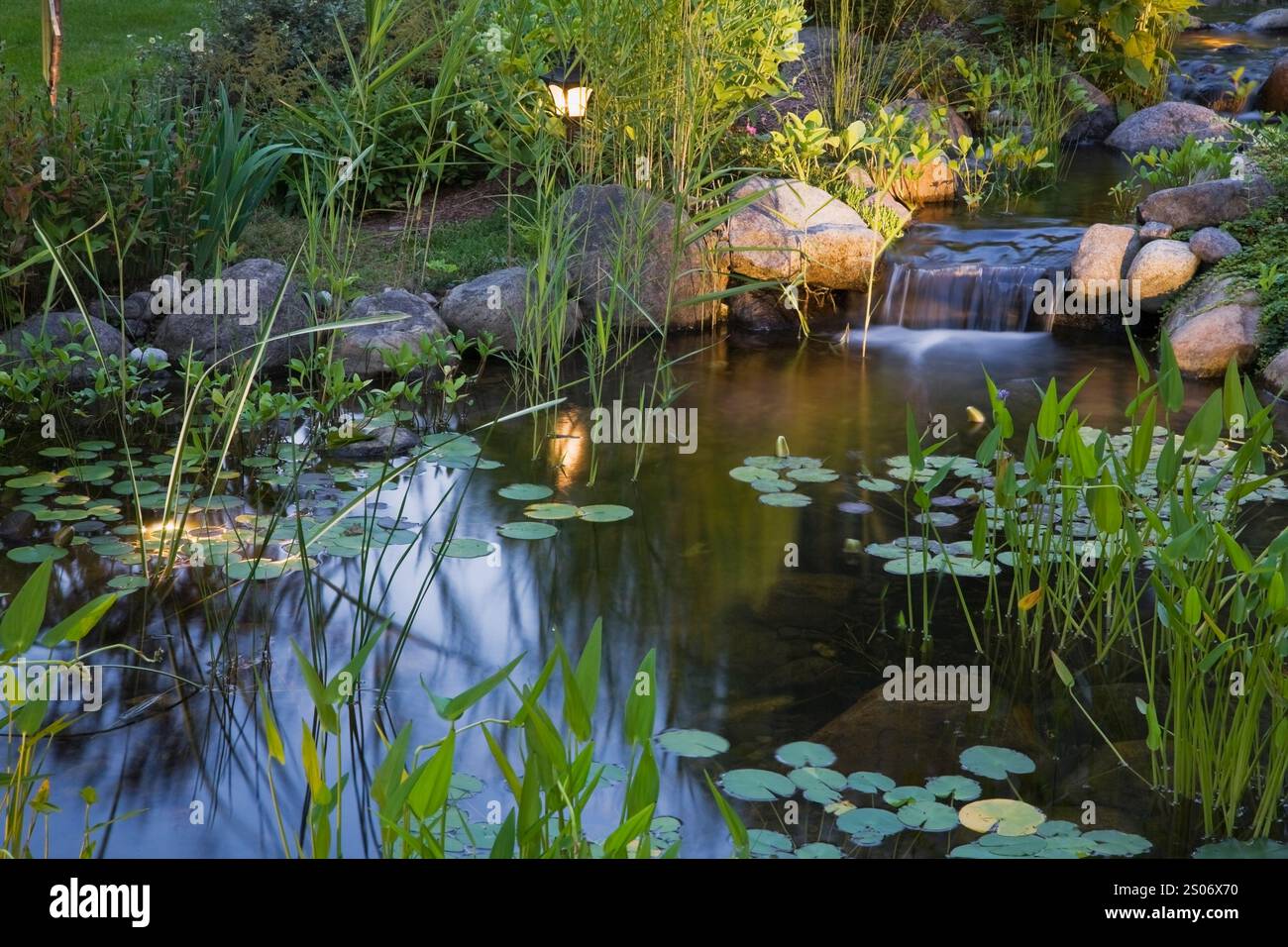 Illuminated pond at dusk with waterfall, Nymphaea - Waterlily and ...