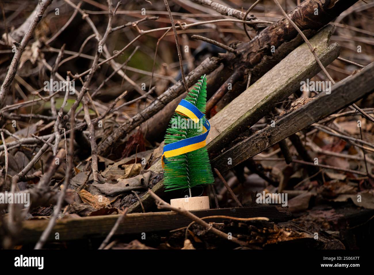 A small Christmas tree decorated with a ribbon of the Ukrainian flag ...