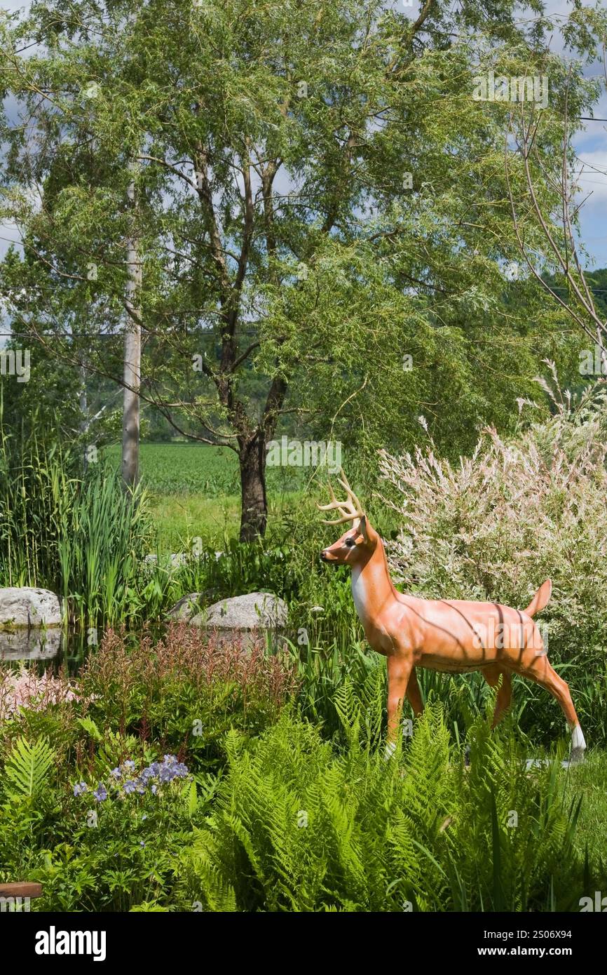 Pteridophyta - Ferns, deer sculpture and white flowering Salix japonica ...