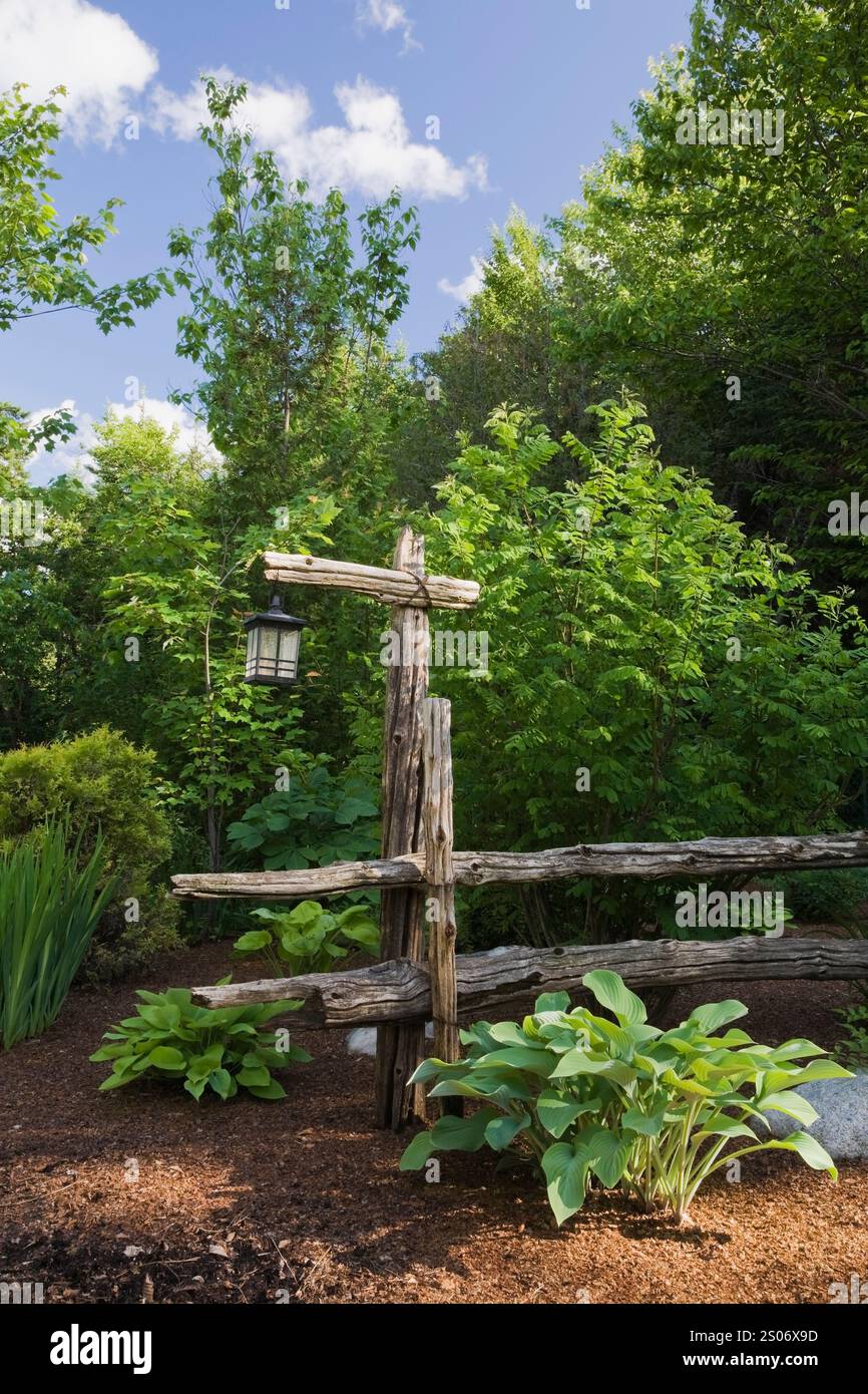 Old rustic wooden perch fence and lamppost in mulch border with Hosta ...
