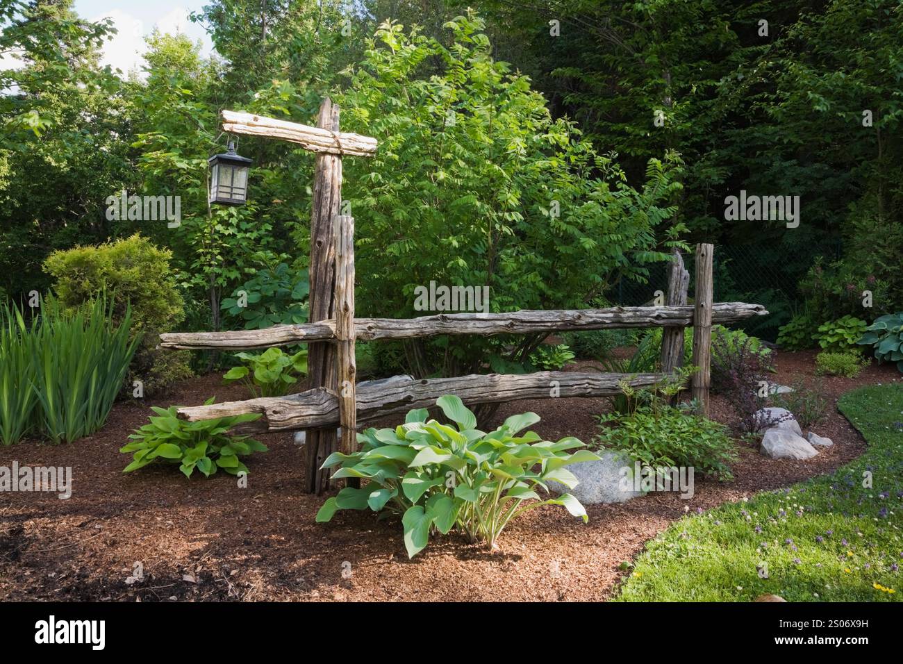 Old rustic wooden perch fence and lamppost in mulch border with Hosta ...