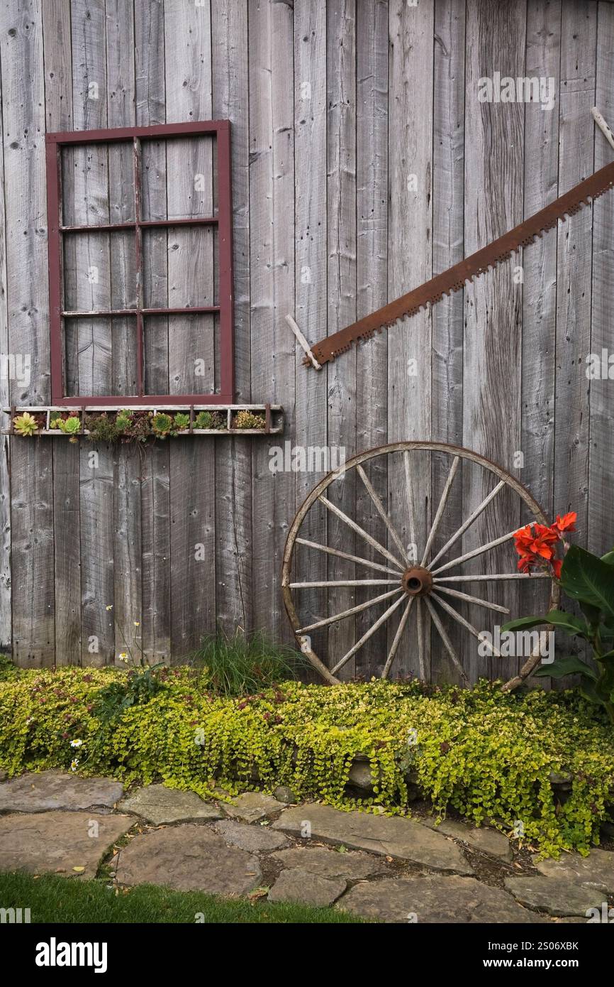 Flagstone path and raised stone border with Lysimachia nummularia ...