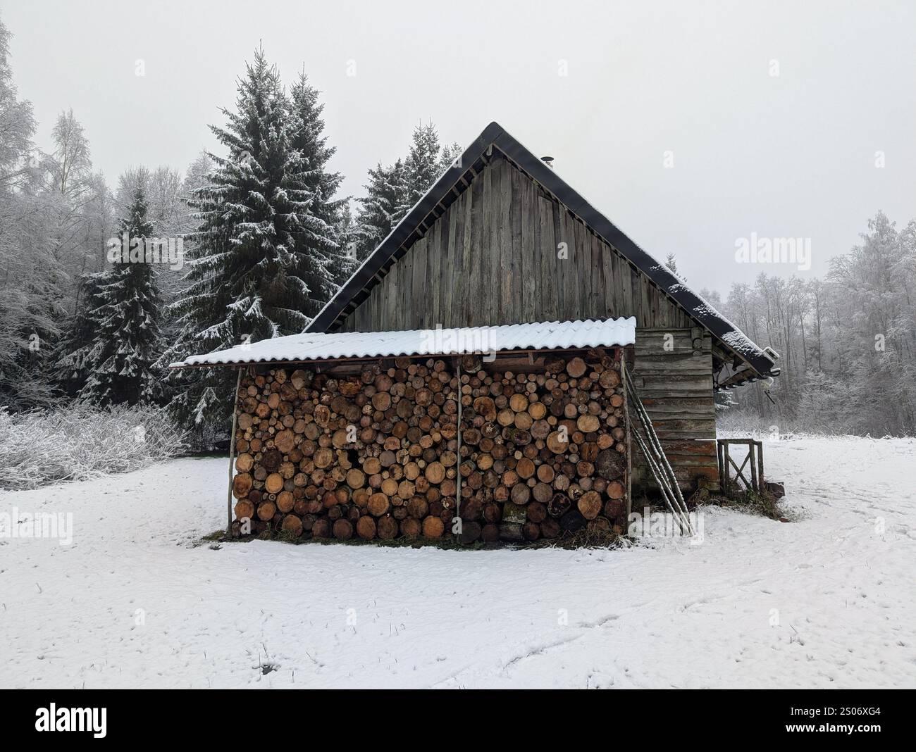 Winter in Estonia: Old barn with firewood in snowy forest Stock Photo ...
