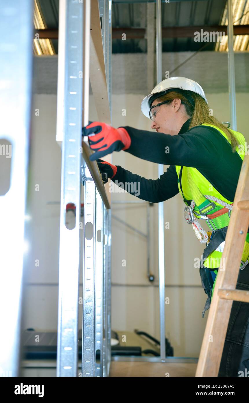 Construction worker mounting plasterboard on metal studs using a power ...