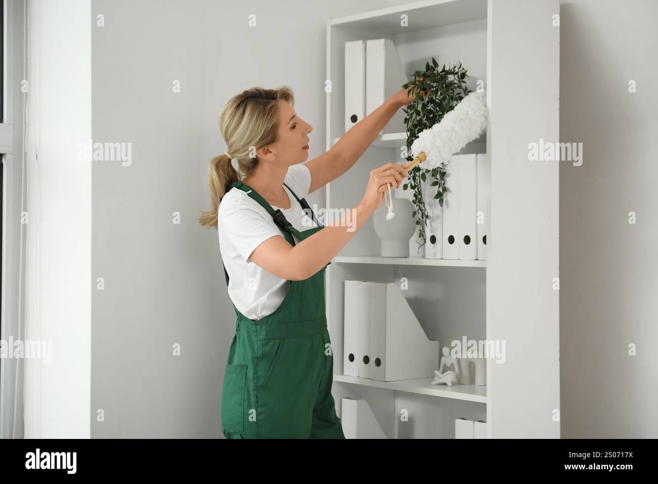 Female janitor with pp-duster cleaning shelf in room Stock Photo - Alamy
