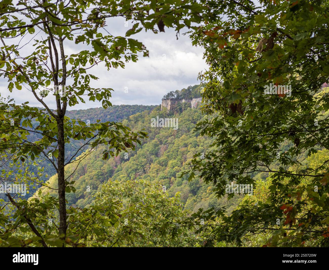 At the top of a steep mountainside, cliffs line the Endless Wall Trail ...