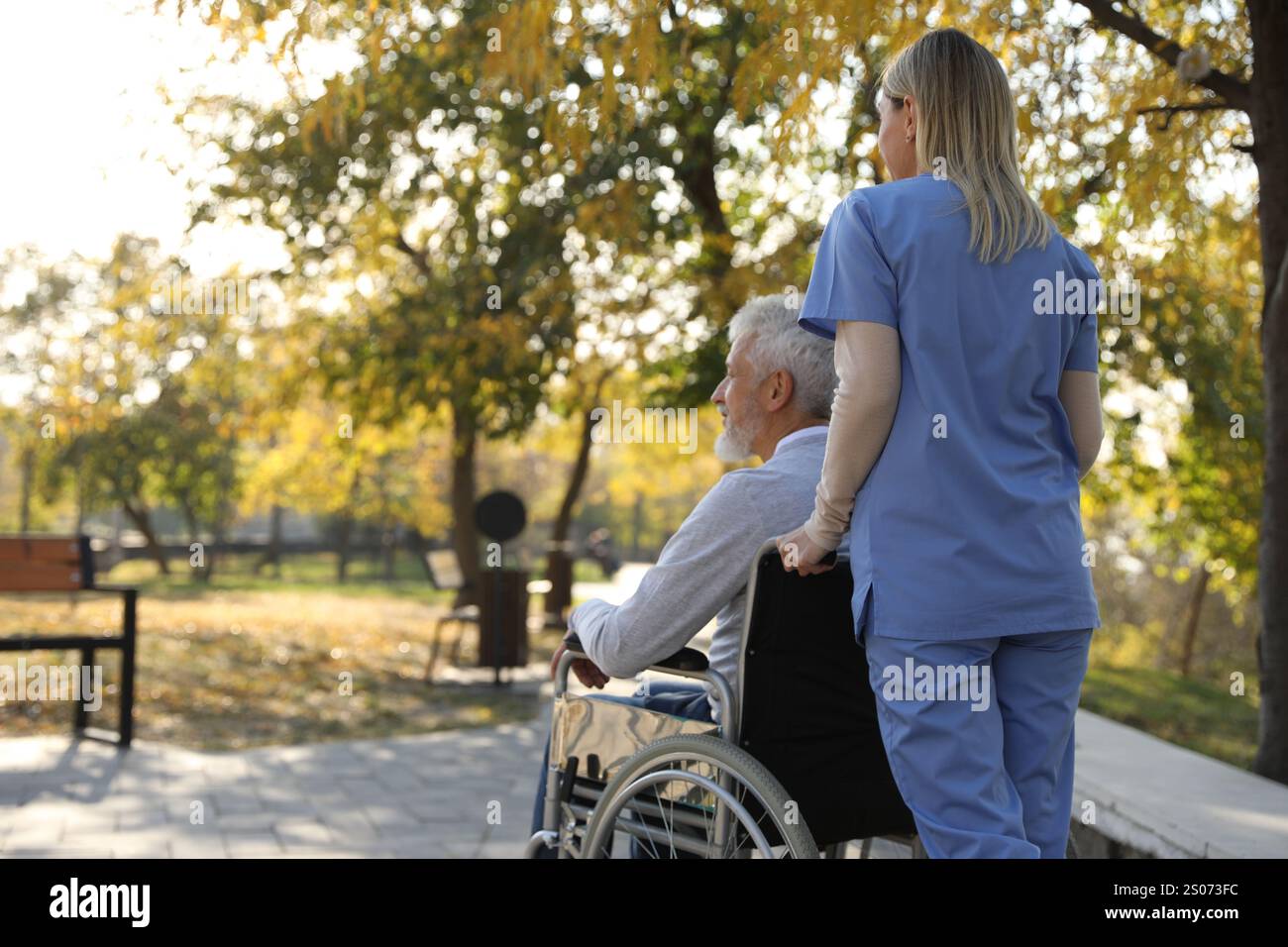 Caregiver assisting senior man on wheelchair in park, back view and space for text. Home health ...