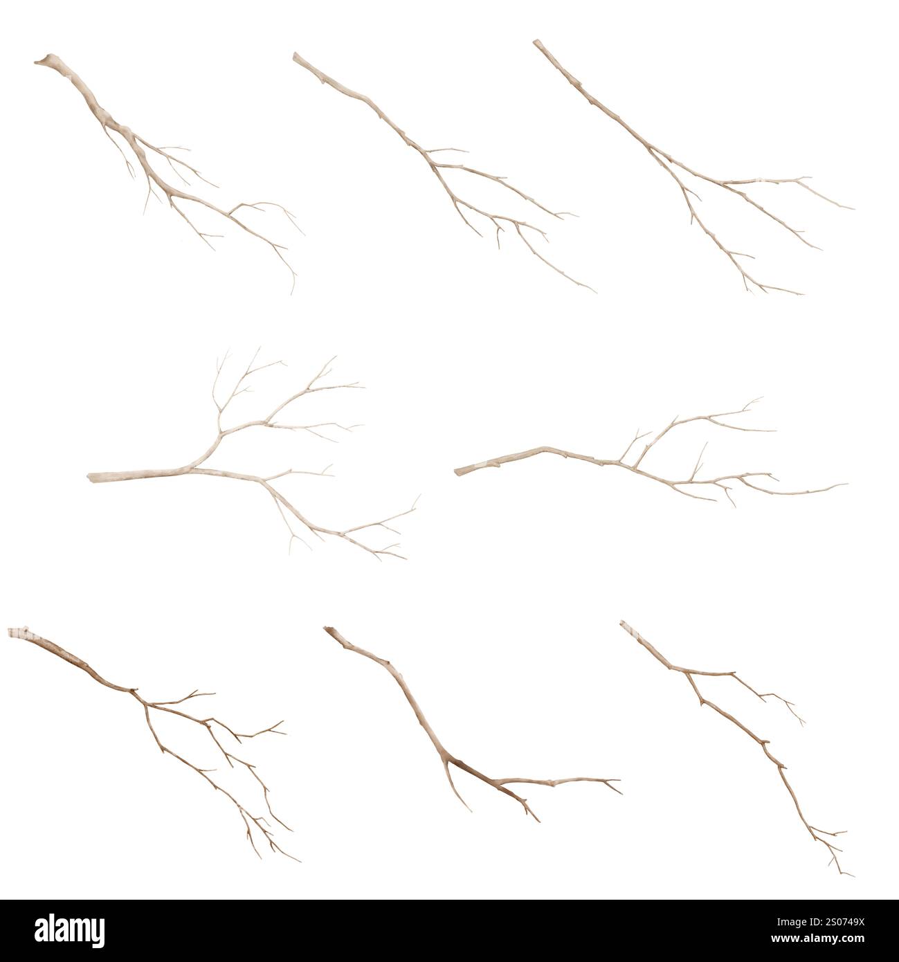 Tree branches with graceful twigs in a set. Watercolor digital ...
