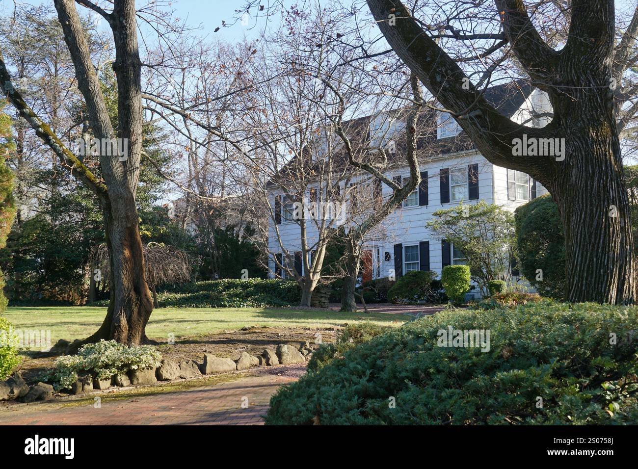 Suburban area with houses on large acreage in a natural setting Stock ...