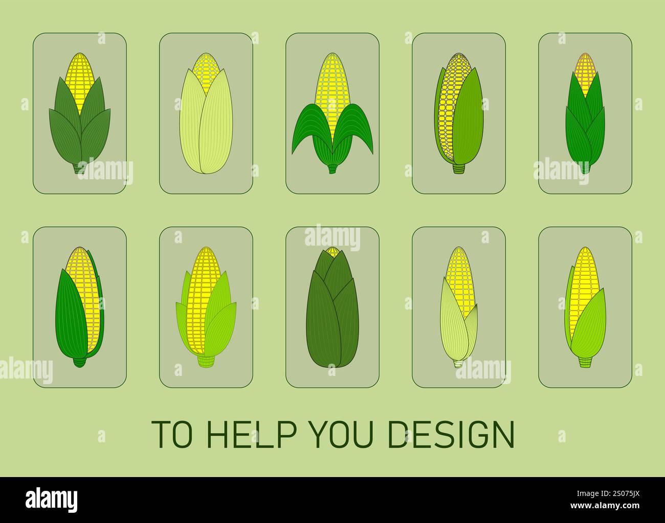 Set of vector illustrations of corn cobs. Design assistance. Flat ...