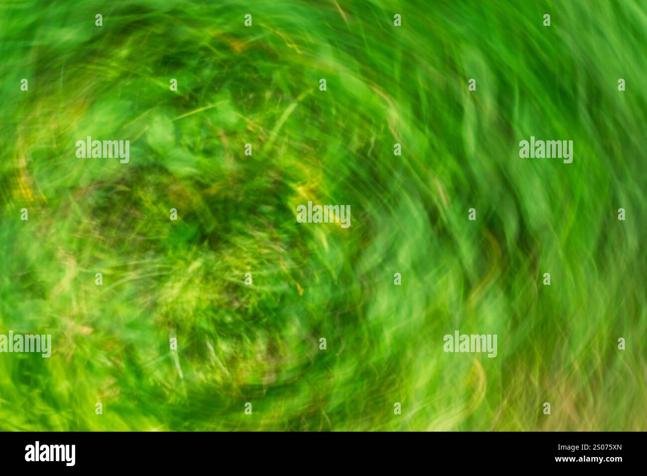 A swirling pattern of green grass fills the frame, showcasing vibrant ...