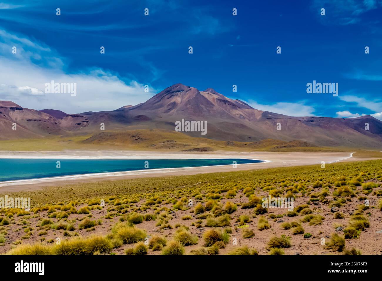 Lakes in the desert Atacama landscape in Chile. The view point to the ...