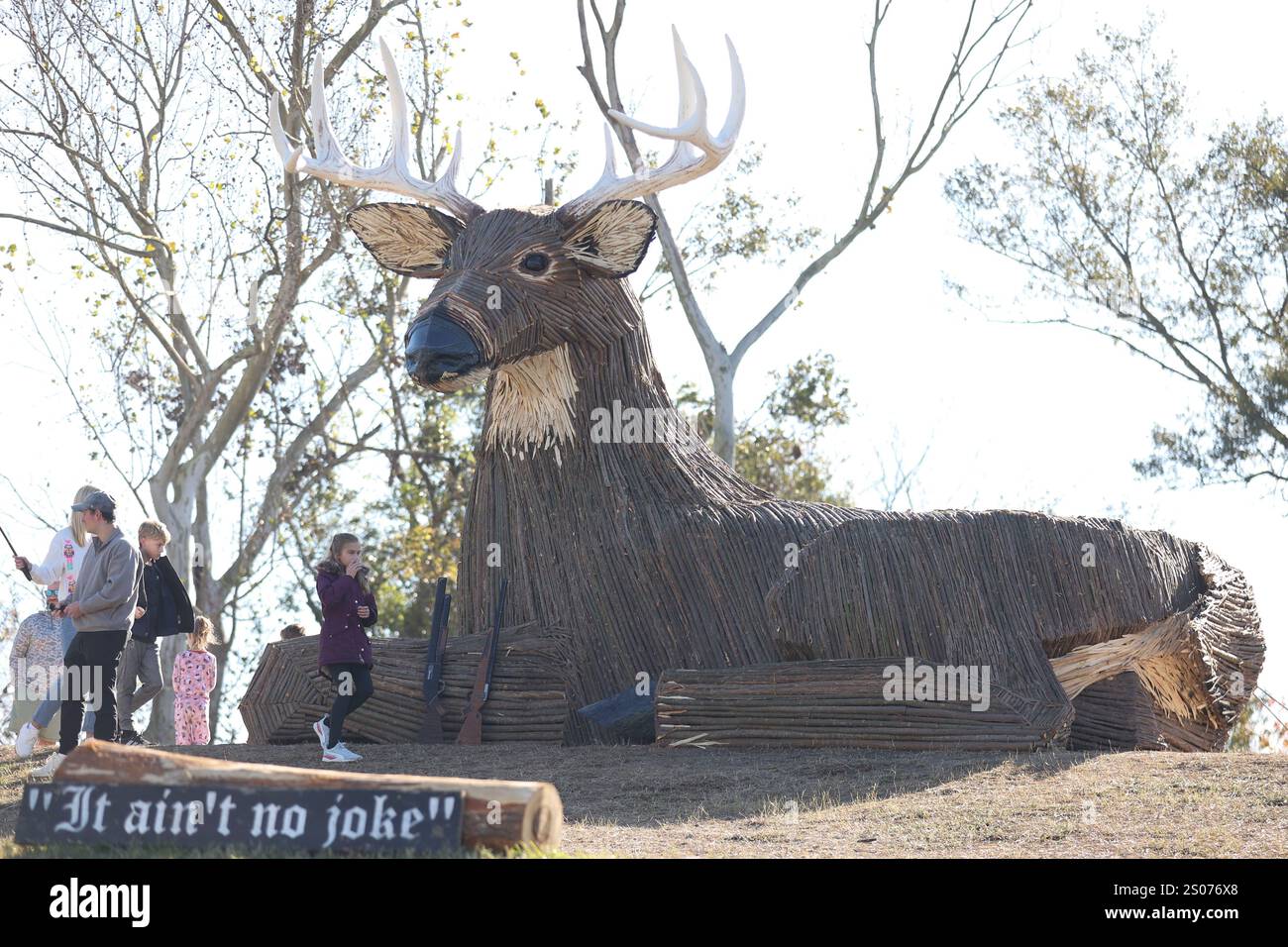 A bonfire made into the form of a ten-point Whitetail Deer buck is ...