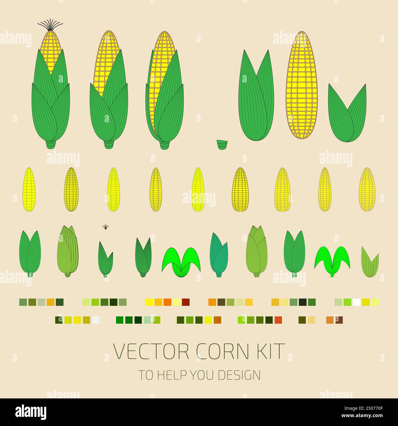 Vector corn constructor. Help for the designer. Flat design Stock ...