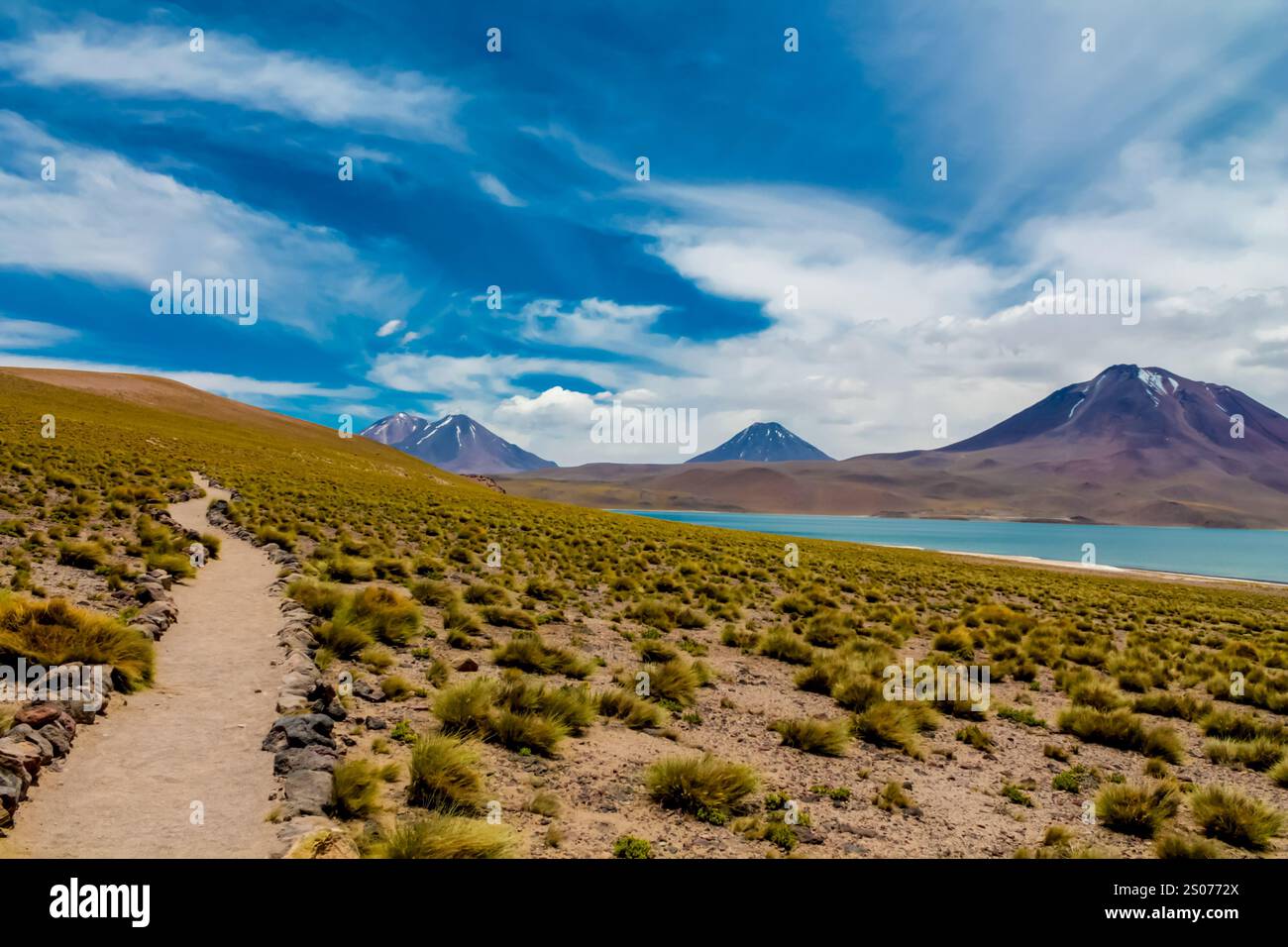 Lakes in the desert Atacama landscape in Chile. The view point to the ...