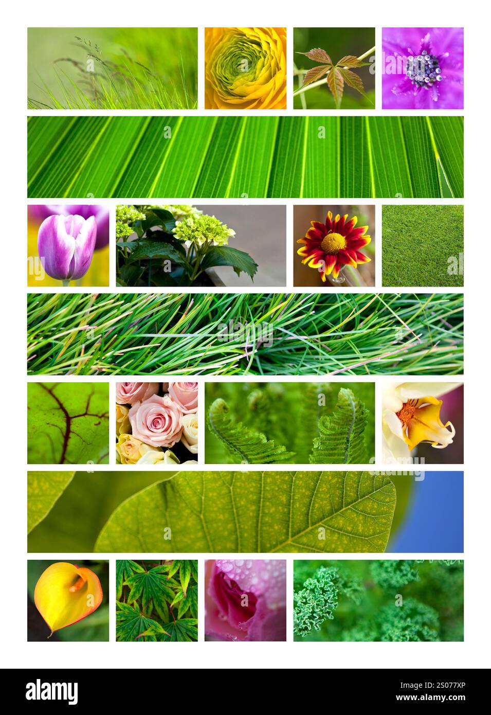 Natural backgrounds green grass Cut Out Stock Images & Pictures - Alamy
