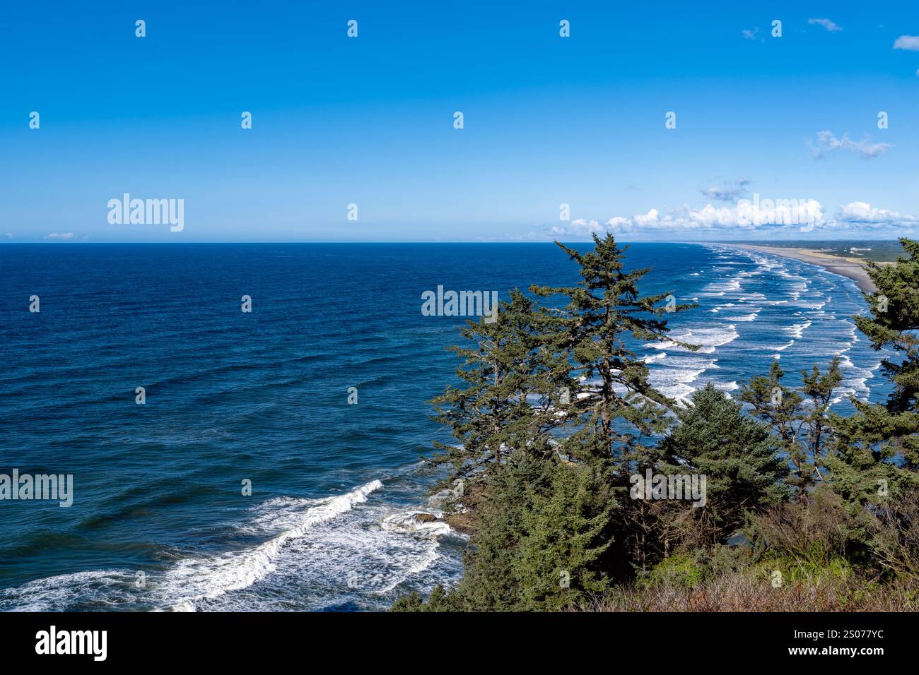 The sandy beaches of the Pacific Ocean from the North Head at Cape ...