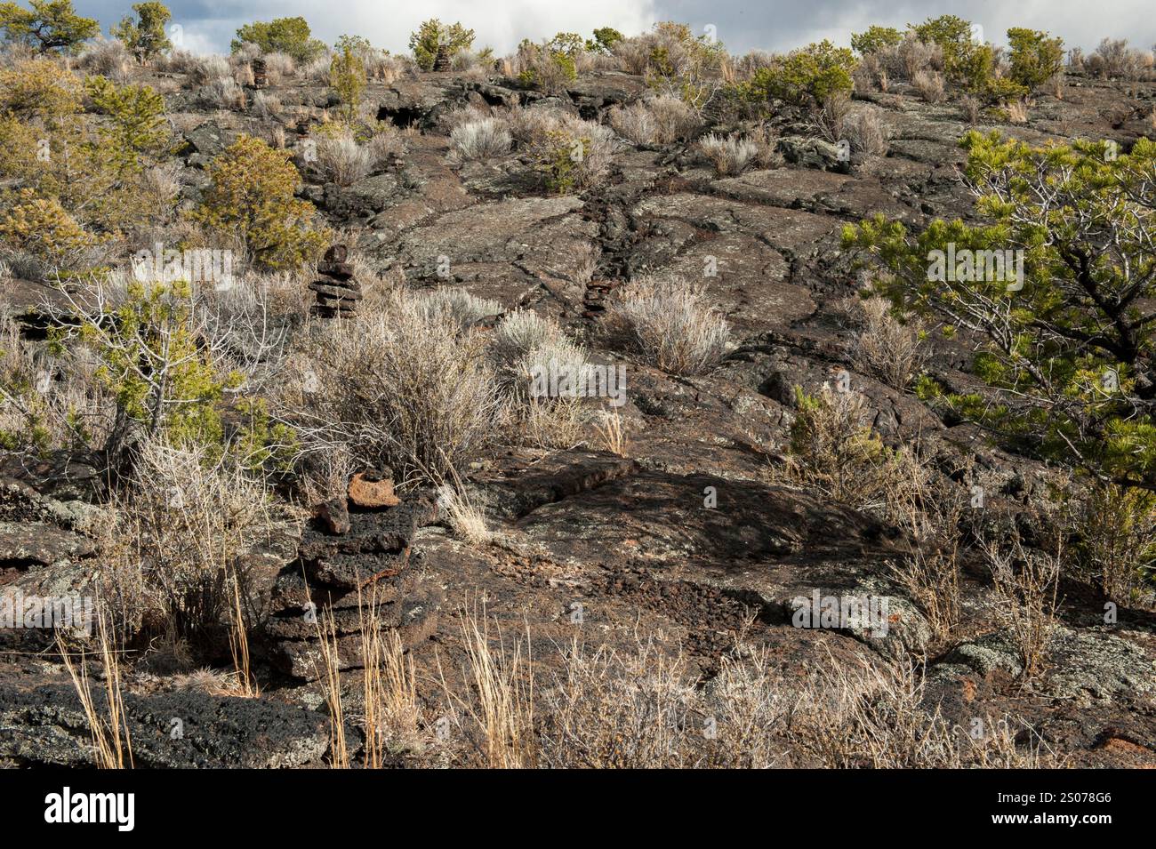 Cairns of rocks mark the route of a hiking trail over lava in the El ...