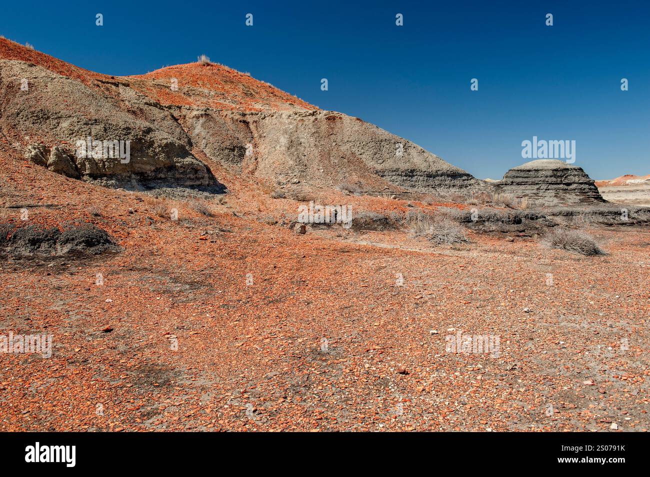 Red clinkers from an ancient, prehistoric fire in a coal seam litter ...