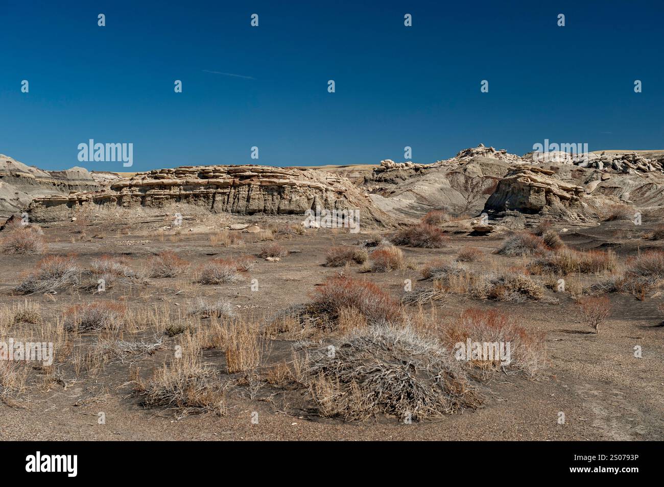 Mud- and clay-stones of New Mexico's Bisti Badlands Stock Photo - Alamy