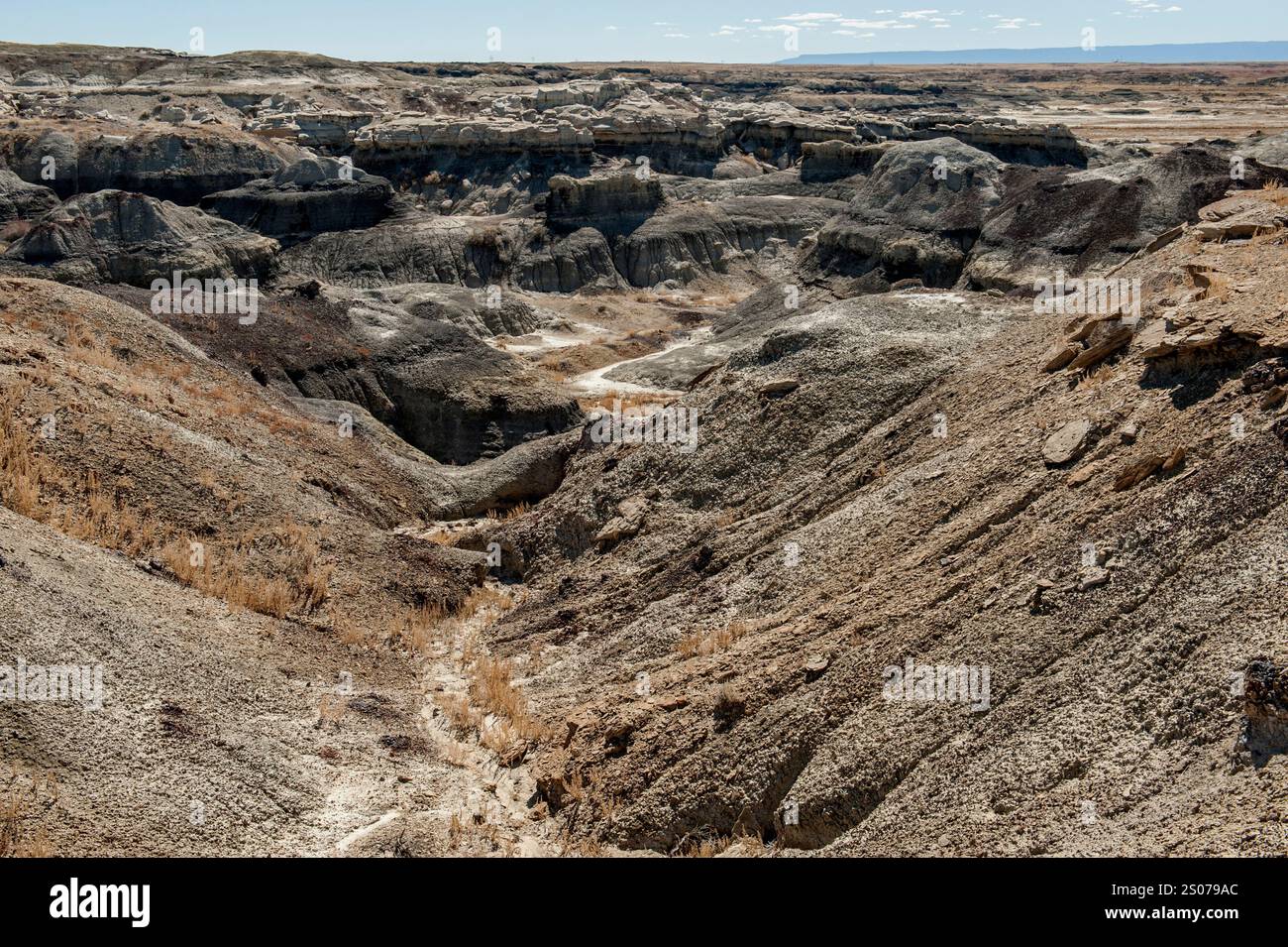 Mud- and clay-stones of New Mexico's Bisti Badlands Stock Photo - Alamy
