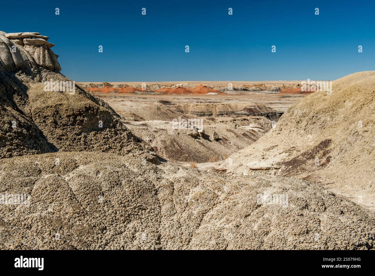 Mud- and clay-stones of New Mexico's Bisti Badlands Stock Photo - Alamy