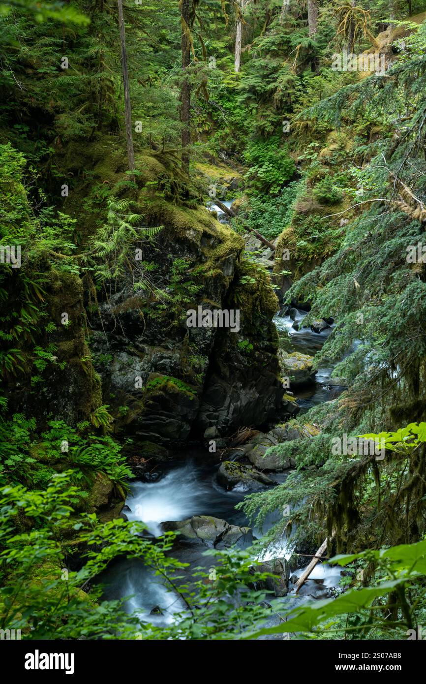 Sol Duc River Rushes Through The Narrow Canyon Beyond The Famous Falls ...