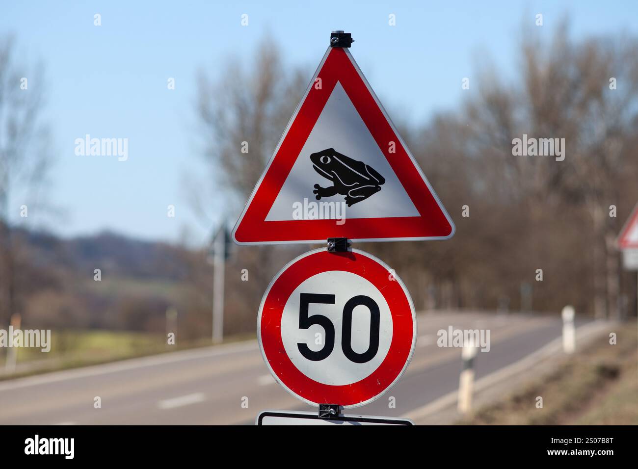 toad migration warning sign on german street Stock Photo - Alamy