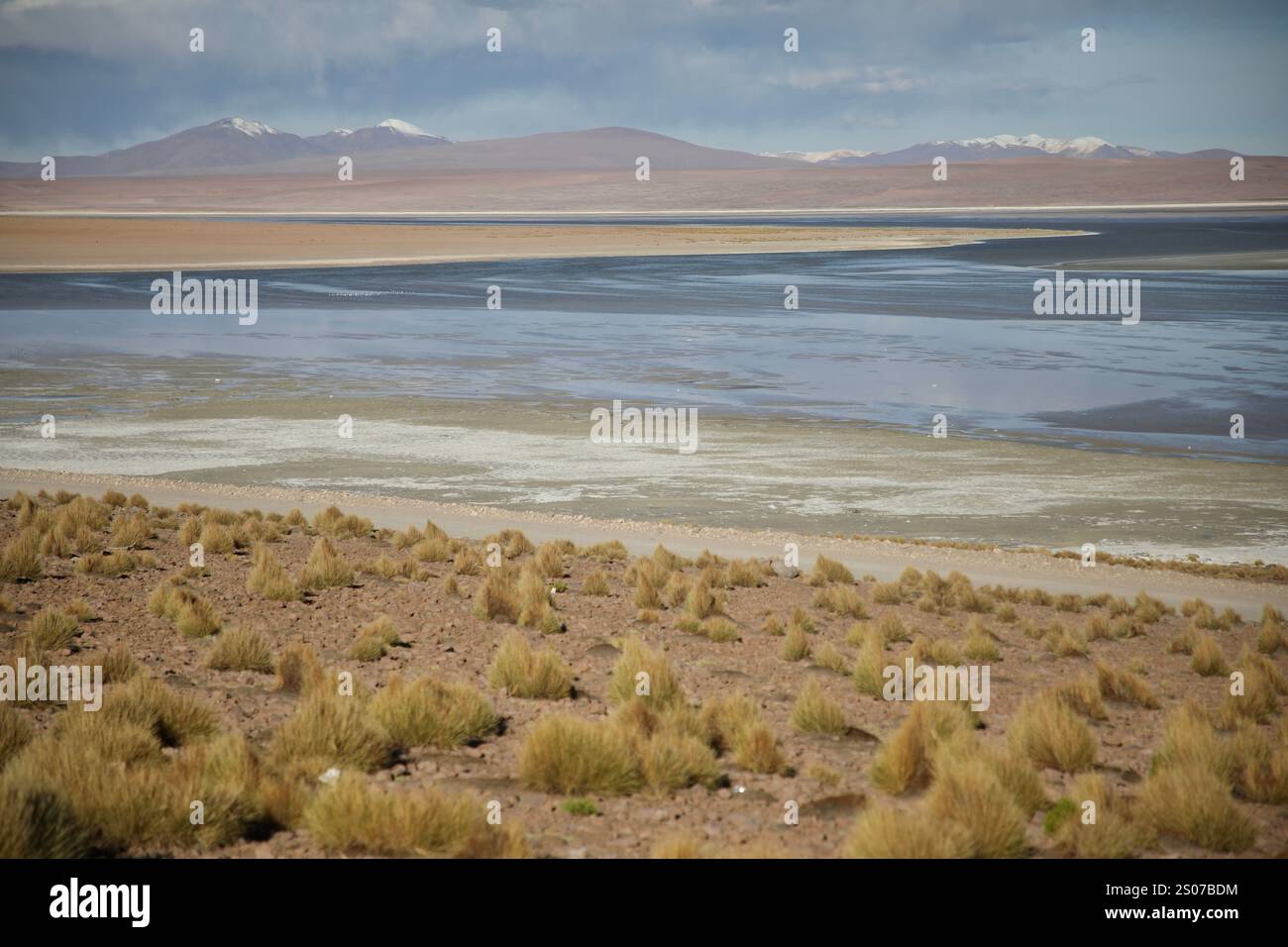 Laguna Salada, an Andean salt lake inside Chalviri salt flat in Sur ...