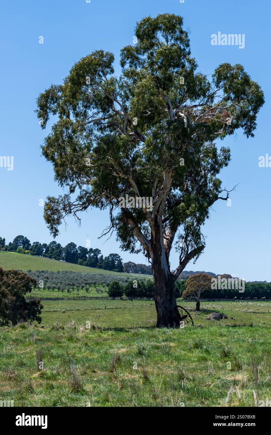 Day out in the country enjoying the scenery around Lucknow near Orange ...