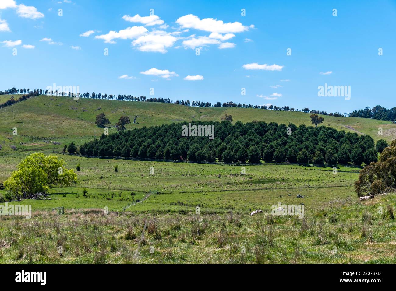 Day out in the country enjoying the scenery around Lucknow near Orange ...