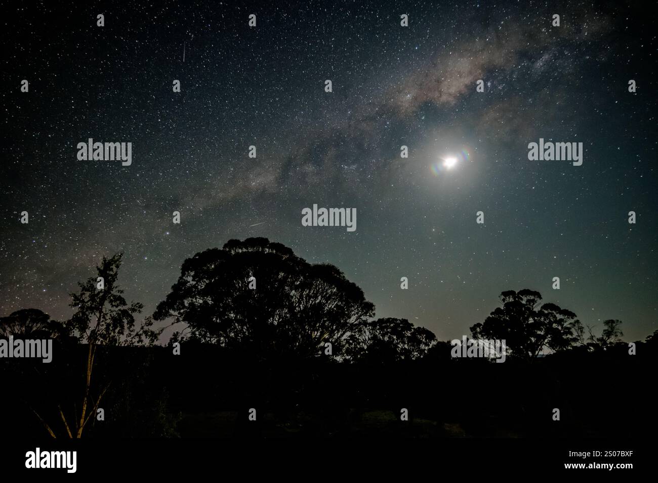 Starry night sky, milky way and partial moon over a rural property ...