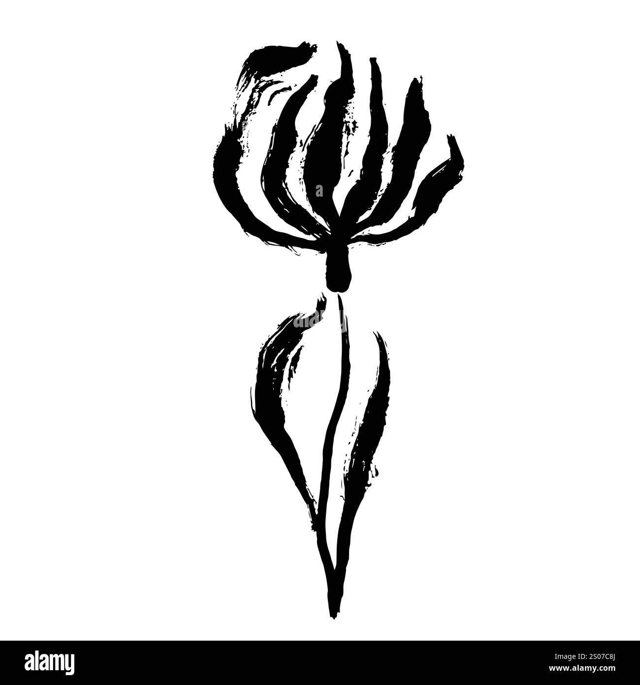 Grunge Dry Brush Ink Wild Flower Stock Vector Image & Art - Alamy