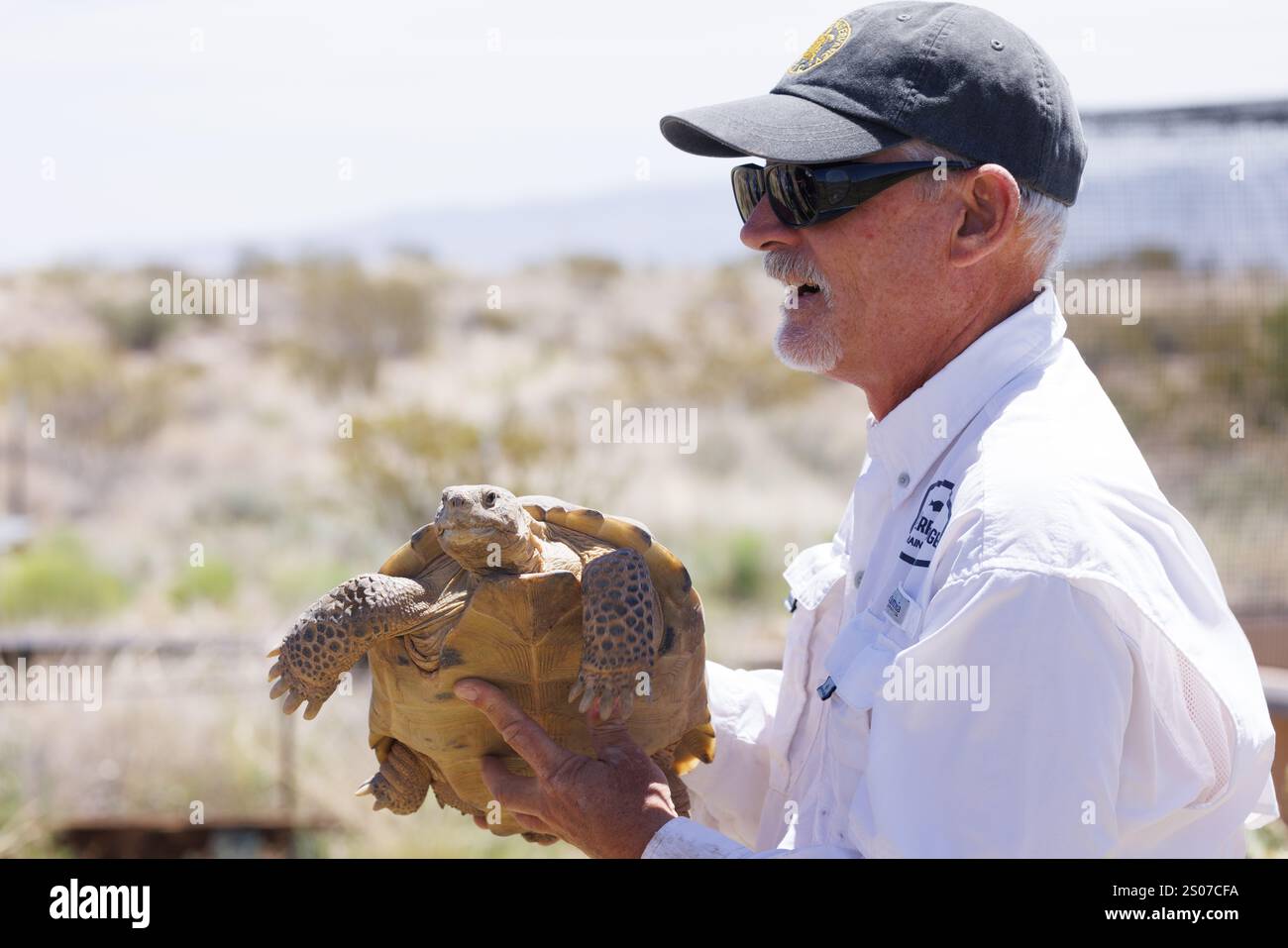 Scott Hillard with Boson Tortoise, Turner ranches, New Mexico, USA ...