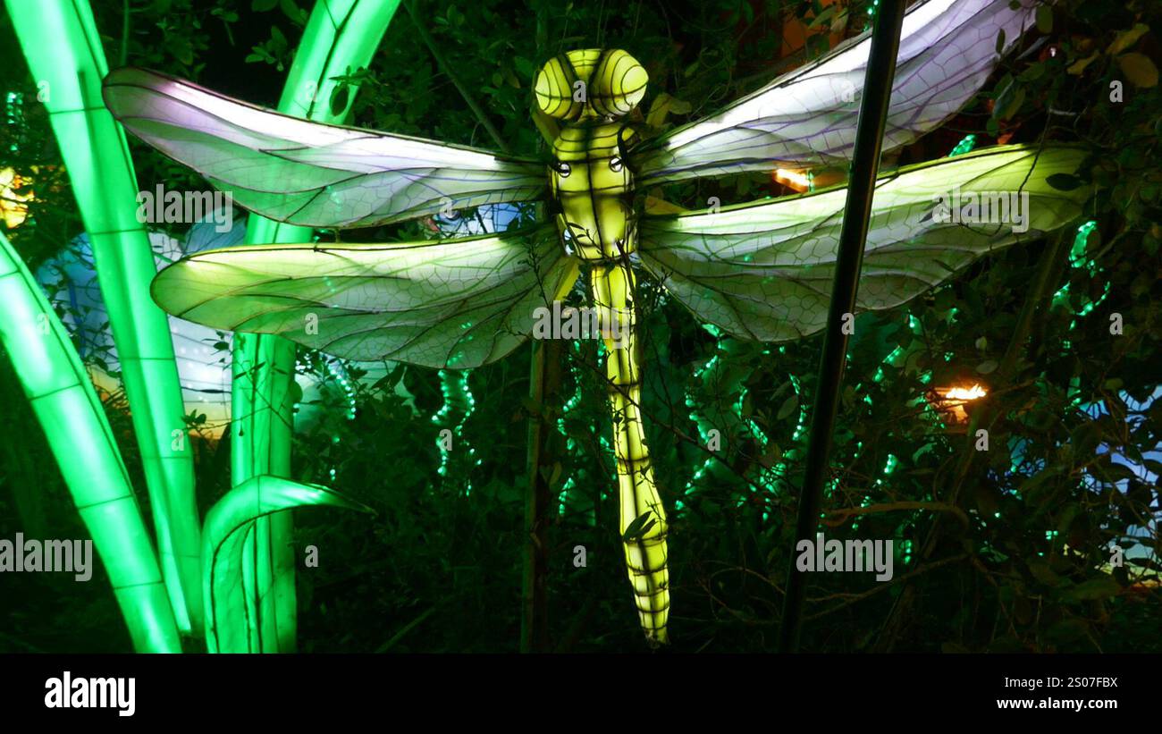 Los Angeles, California, USA 23rd December 2024 Zoo Lights Dragonfly at ...
