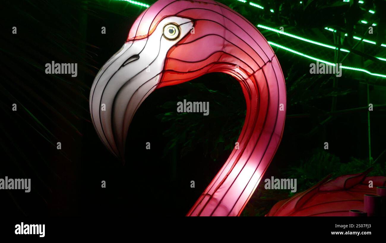 Los Angeles, California, USA 23rd December 2024 Zoo Lights Flamingo at ...