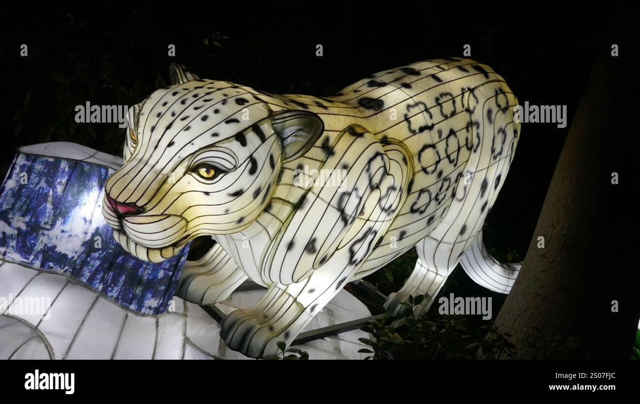 Los Angeles, California, USA 23rd December 2024 Zoo Lights Snow Leopard ...