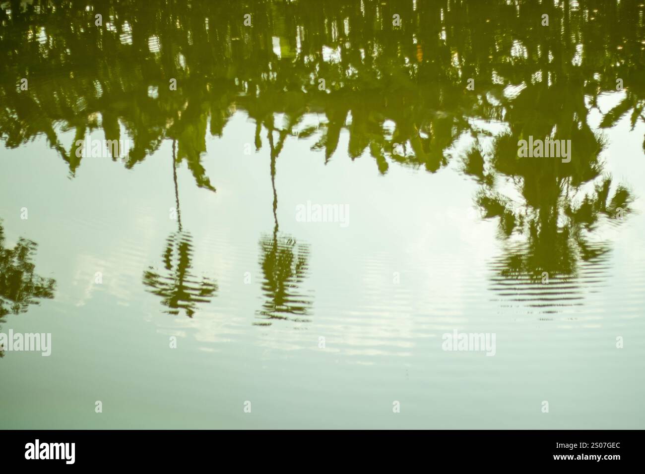 A pond is a small area of still, fresh water. Ponds are bodies of water ...