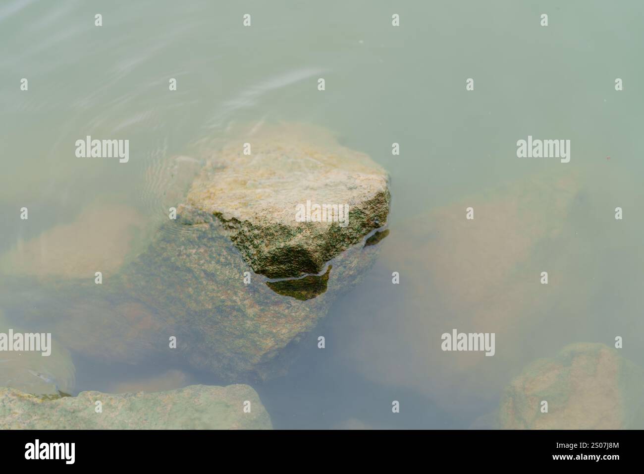 Water supply growth hi-res stock photography and images - Alamy