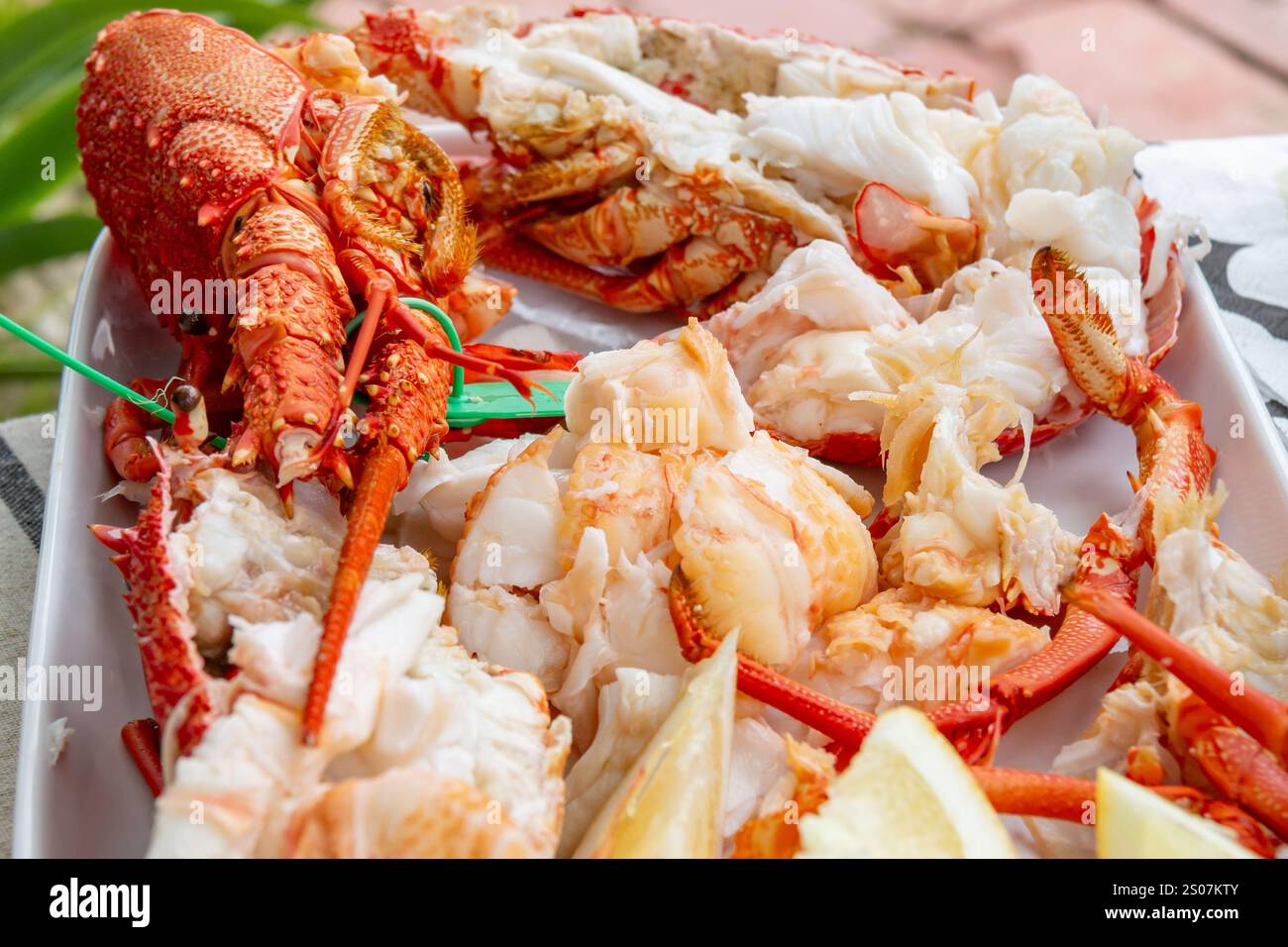 boiled southern rock lobster crayfish served with lemon wedges on a ...