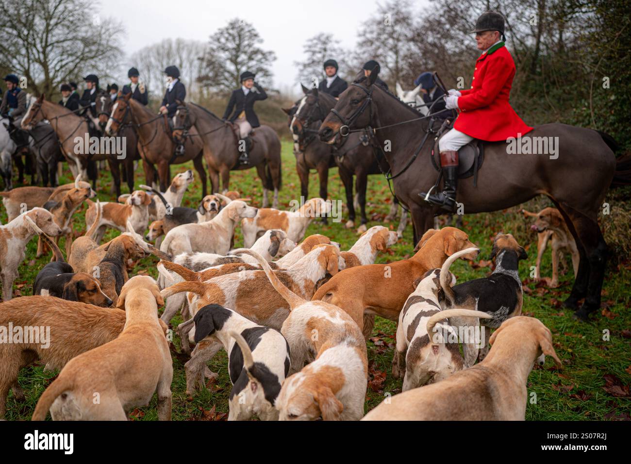Traditional hunting practice hi-res stock photography and images - Alamy