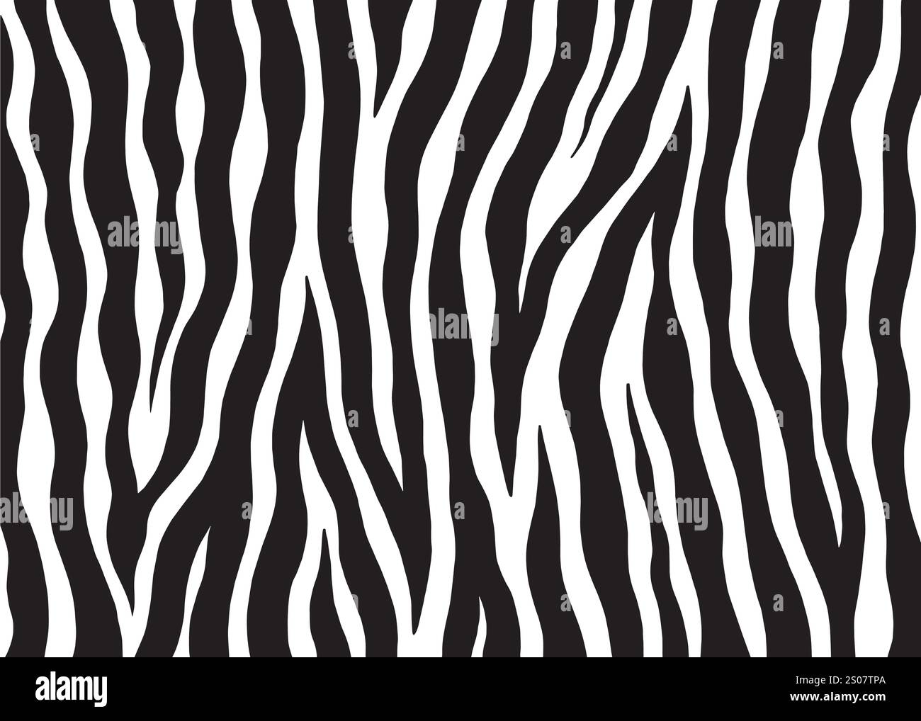 Abstract Zebra pattern design, vector illustration background. wildlife ...