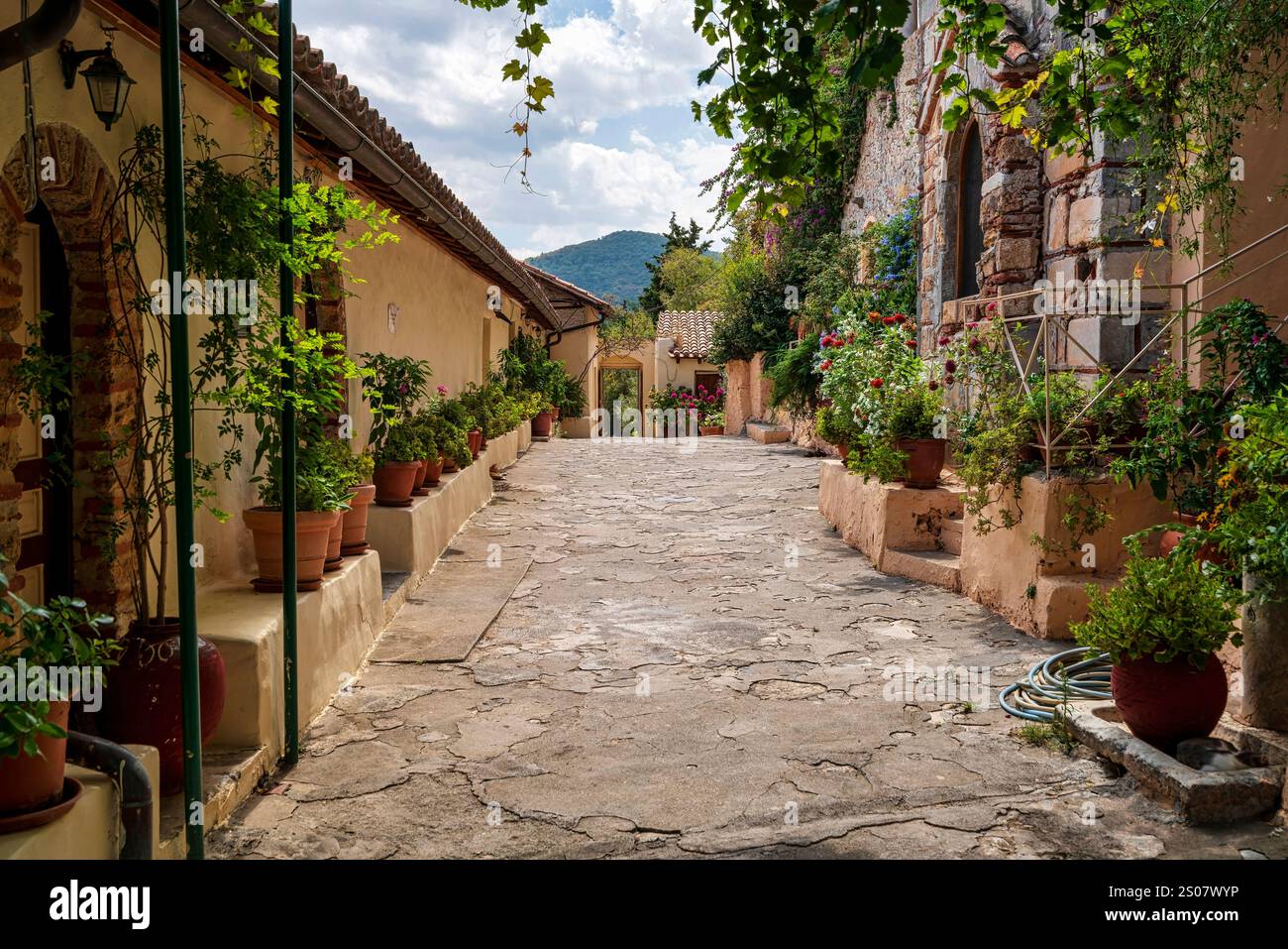 Beautiful flower-filled courtyard of Pantanassa Monastery in Mystras ...