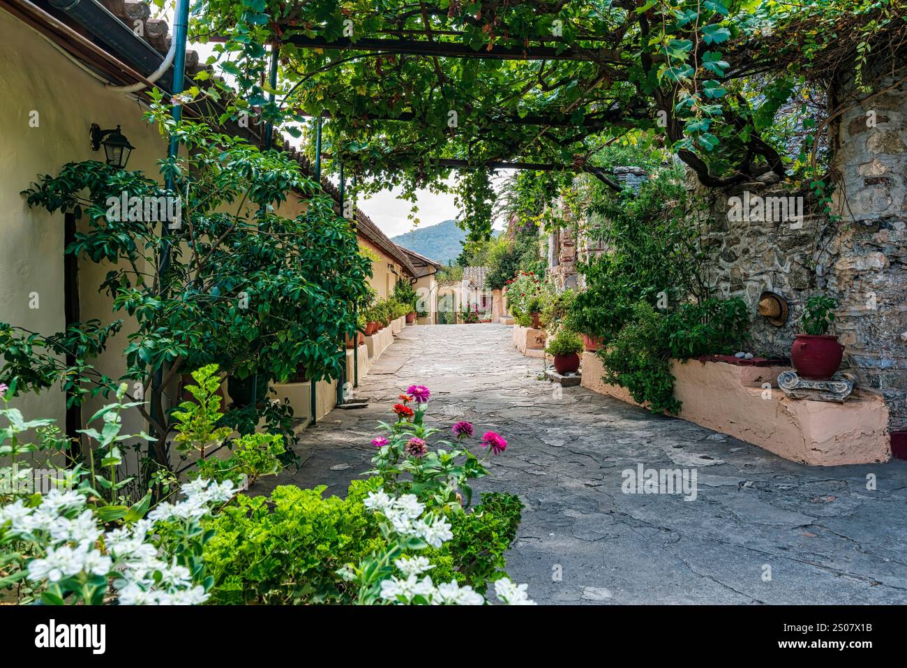 Beautiful flower-filled courtyard of Pantanassa Monastery in Mystras ...