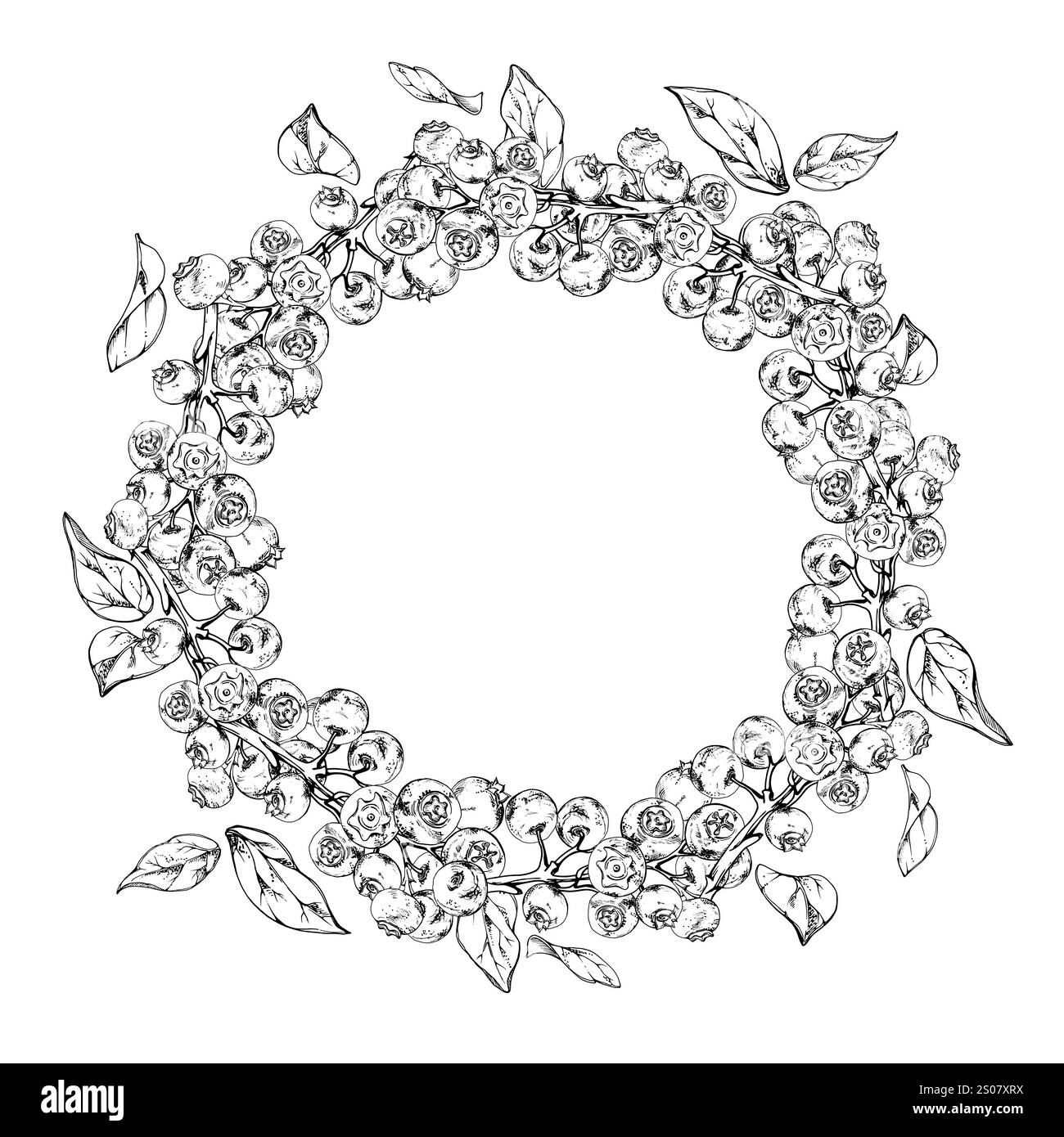 Blueberry blackberry cluster with plant leaves on branch, ripe forest ...