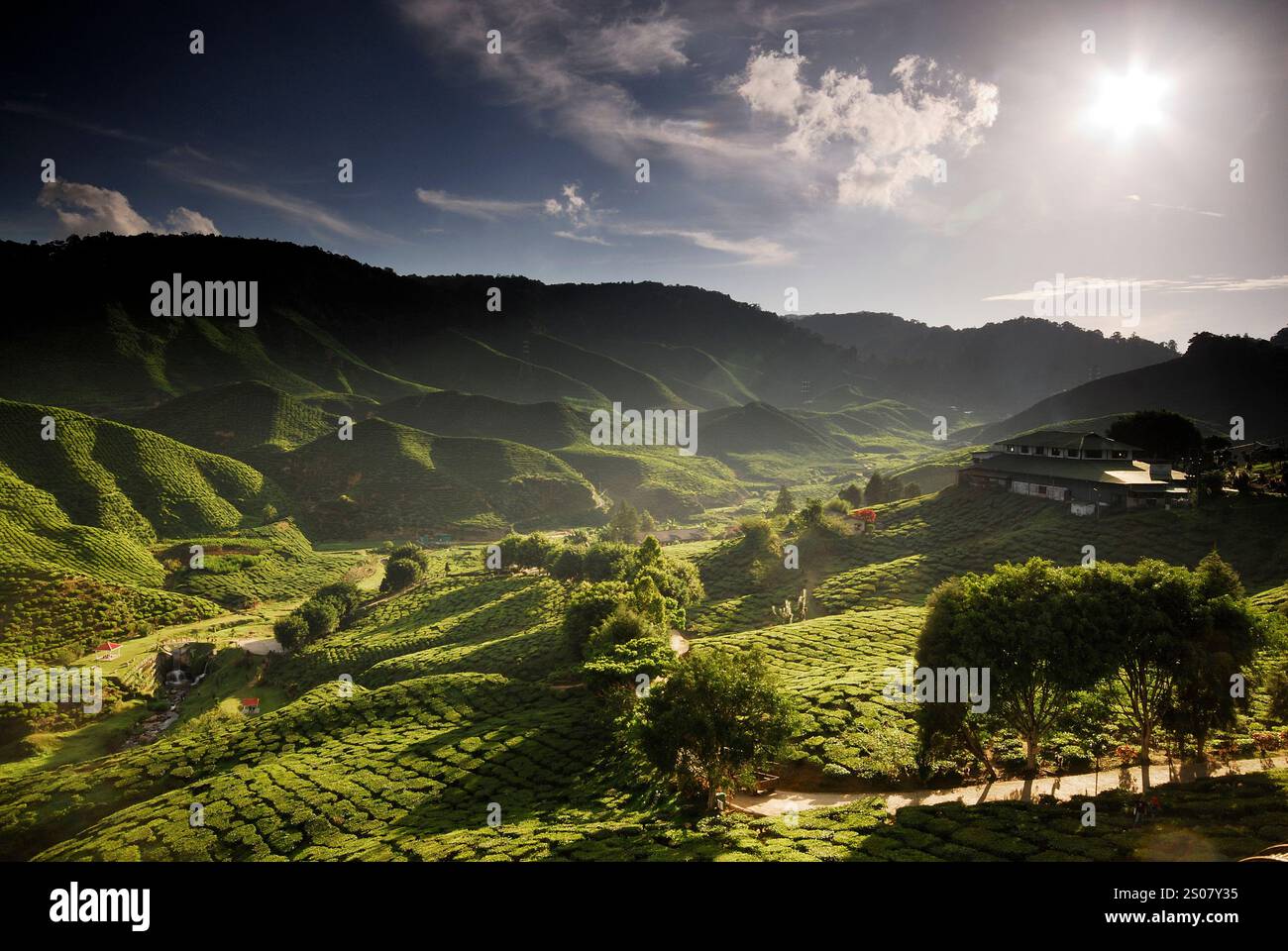 Cameron Highlands landscape, Central Malaysia Stock Photo - Alamy